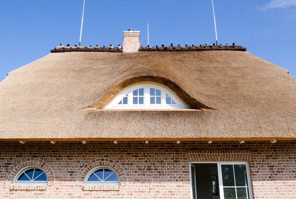 Holzbau an der Ostsee: Modernes Reetdach von SCHNOOR