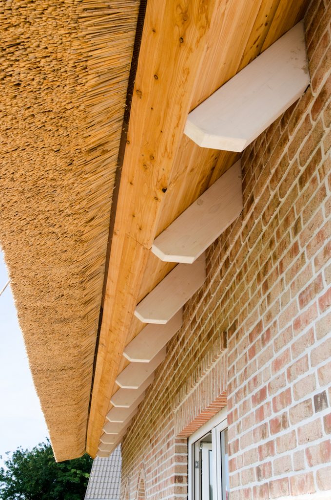 Holzbau an der Ostsee: Modernes Reetdach von SCHNOOR